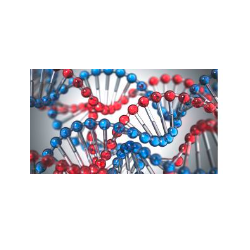 ChromasProの使い方を教えて下さい - worldsoft BLOG